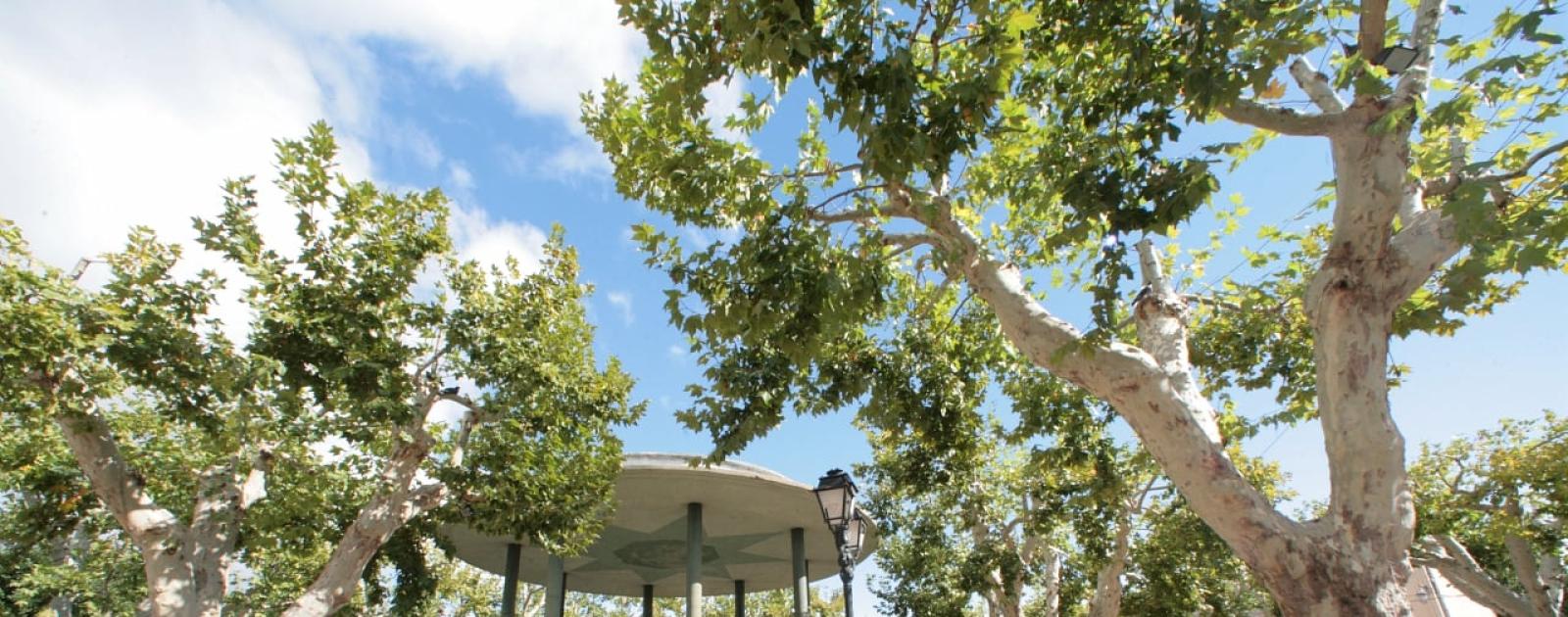 Trets | Département des Bouches-du-Rhône